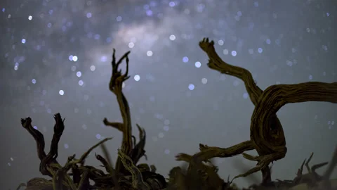 4K Time lapse of night sky milky way beh... | Stock Video | Pond5