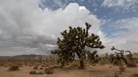 Rain Drying Time Stock Videos – Royalty-Free HD & 4K Videos