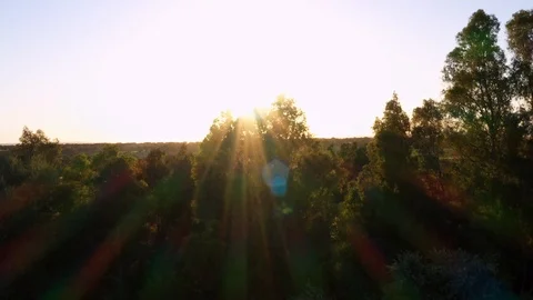 4K Top view aerial of beautiful fields i... | Stock Video | Pond5