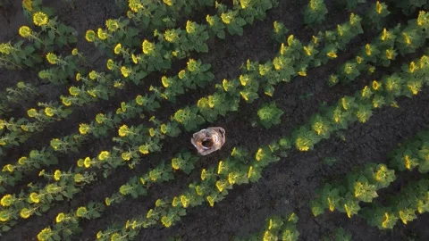 4K top view of a loving couple hugging a... | Stock Video | Pond5