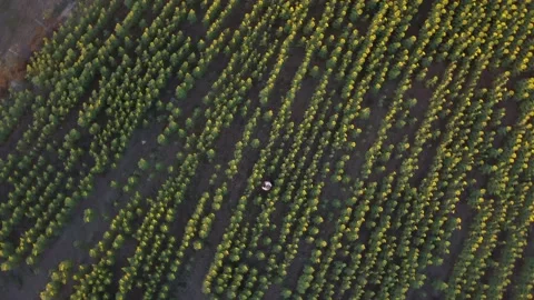 4K top view of a loving couple hugging i... | Stock Video | Pond5