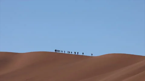 4K Tourists climbing Big Daddy dune in t... | Stock Video | Pond5