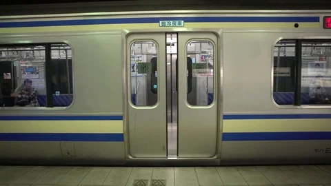 4K Train door closed on platform Railway... | Stock Video | Pond5