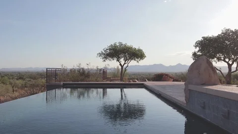 Infinity Tree Stock Footage ~ Royalty Free Stock Videos | Pond5