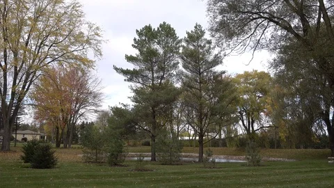 4K Trees Pond House Landscape View | Stock Video | Pond5
