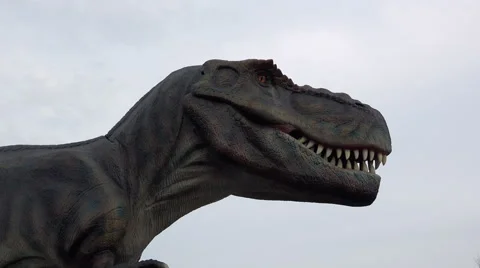4K Tyrannosaurus rex life-size model in ... | Stock Video | Pond5