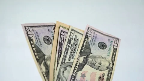 Still Guhd Stock Footage ~ Royalty Free Stock Videos | Pond5