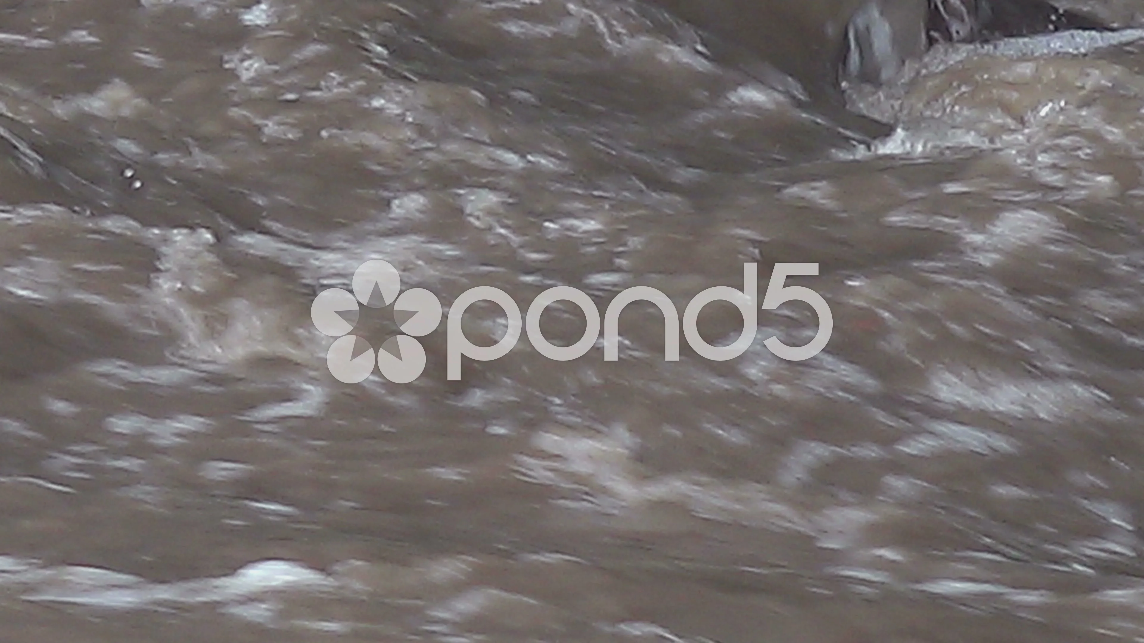 Dirty Flood Water