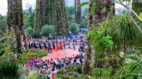 Box Bay Video Stock Videos – Royalty-Free HD & 4K Videos