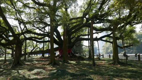 Movie Big Legend Stock Videos – Royalty-Free HD & 4K Videos