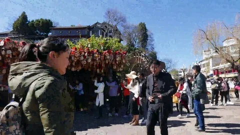 Chantal Video Stock Videos – Royalty-Free HD & 4K Videos | Page 5