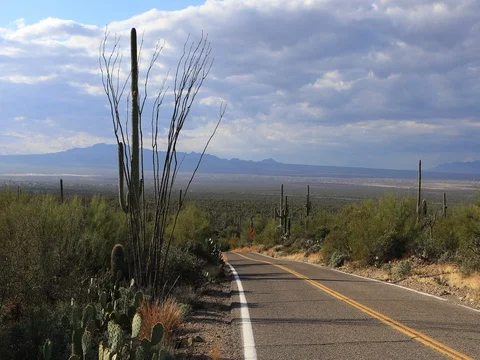 4K UltraHD View of roadside in Tucson Mo... | Stock Video | Pond5