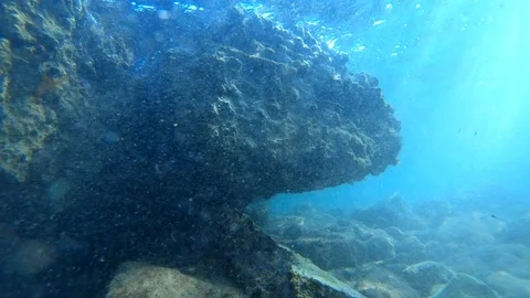 4k underwater view of ocean currents and... | Stock Video | Pond5