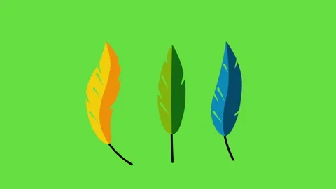 Bresil Video Stock Videos – Royalty-Free HD & 4K Videos