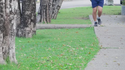 Video Lif Stock Videos – Royalty-Free HD & 4K Videos