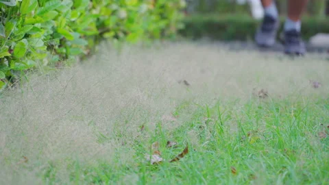 Video Lif Stock Videos – Royalty-Free HD & 4K Videos