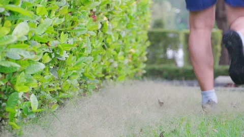 Video Lif Stock Videos – Royalty-Free HD & 4K Videos