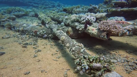 4k video of cargo from the wreck of the ... | Stock Video | Pond5
