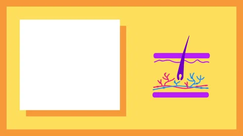 Parted Hair Cartoon Stock Videos – Royalty-Free HD & 4K Videos