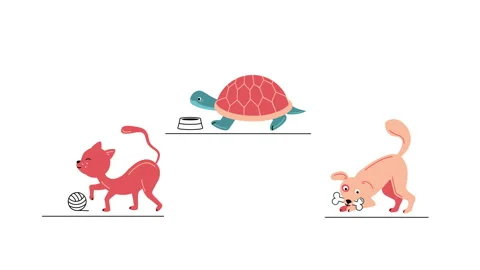 Pets White Background Stock Video Footage | Royalty Free Pets White ...