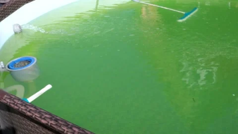 Open Services Video Stock Videos – Royalty-Free HD & 4K Videos | Pond5