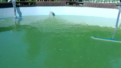 Open Services Video Stock Videos – Royalty-Free HD & 4K Videos | Pond5