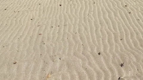 Hot Walker Stock Videos – Royalty-Free HD & 4K Videos | Pond5