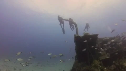 4k video of divers exploring the Jupiter... | Stock Video | Pond5