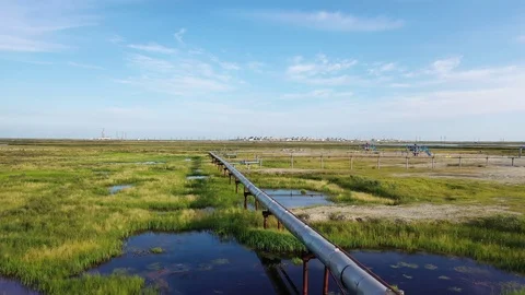 Group 4 Flight Stock Videos – Royalty-Free HD & 4K Videos