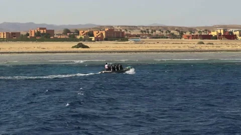 Video Stite Stock Videos – Royalty-Free HD & 4K Videos | Pond5