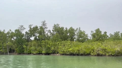 Biomes Video Stock Videos – Royalty-Free HD & 4K Videos