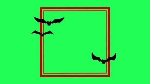 Cedlebrate Video Stock Videos – Royalty-Free HD & 4K Videos