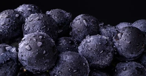 Suspended Big Stock Videos – Royalty-Free HD & 4K Videos