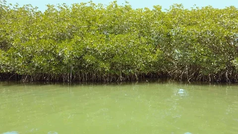 Delta Video Stock Videos – Royalty-Free HD & 4K Videos | Page 2