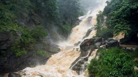 Gotes Video Stock Videos – Royalty-Free HD & 4K Videos