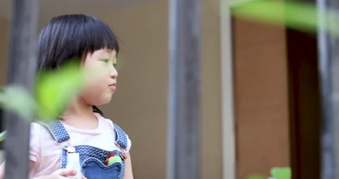 Cute Icare Video Stock Videos – Royalty-Free HD & 4K Videos | Page 5