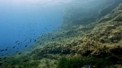 Video About Malta Stock Videos – Royalty-Free HD & 4K Videos | Pond5