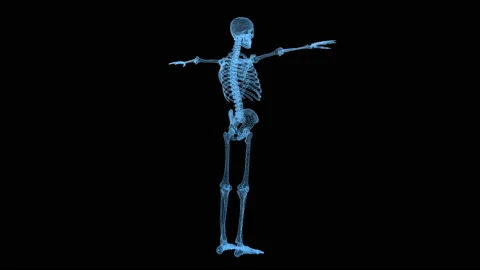 Black Background Body Stock Videos – Royalty-Free HD & 4K Videos | Pond5