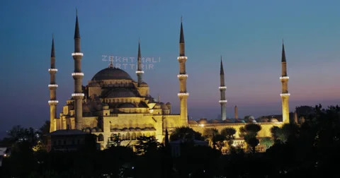 Hamham Video Stock Videos – Royalty-Free HD & 4K Videos