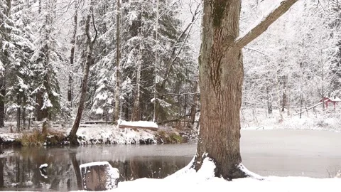 Alley_Video Stock Videos – Royalty-Free HD & 4K Videos | Pond5