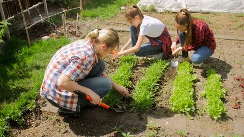 Young Mother1 Video Stock Videos – Royalty-Free HD & 4K Videos | Pond5