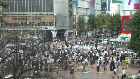 4K View over a crowd pedestrian crossing... | Stock Video | Pond5