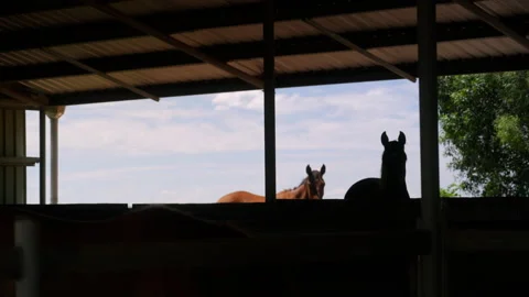 4K View From Ranch Horse Stable With Sil... | Stock Video | Pond5