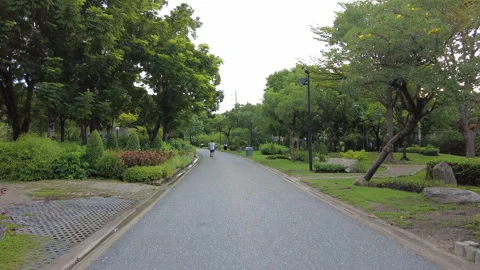 4K Walkway among the park surrounding wi... | Stock Video | Pond5