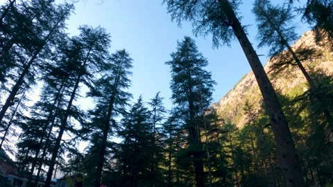 Kasol Stock Videos – Royalty-Free HD & 4K Videos