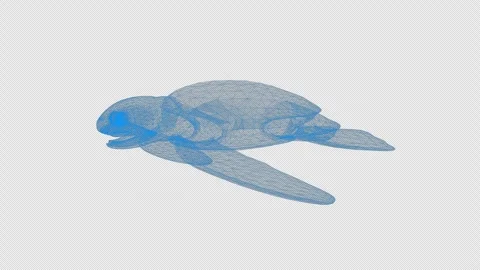 4k wireframe sea turtle, turtule technol... | Stock Video | Pond5