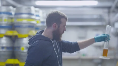 4K Worker in a brewery testing beer & ch... | Stock Video | Pond5