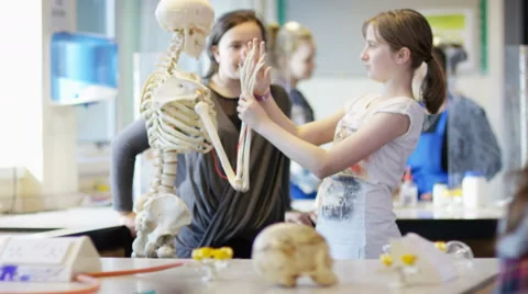 Science Student Stock Footage ~ Royalty Free Stock Videos | Pond5