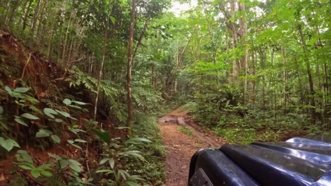 4x4 jeep inside rough terrain. Extreme s... | Stock Video | Pond5