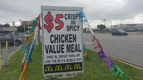Chicken In Flag Stock Videos – Royalty-Free HD & 4K Videos | Page 5